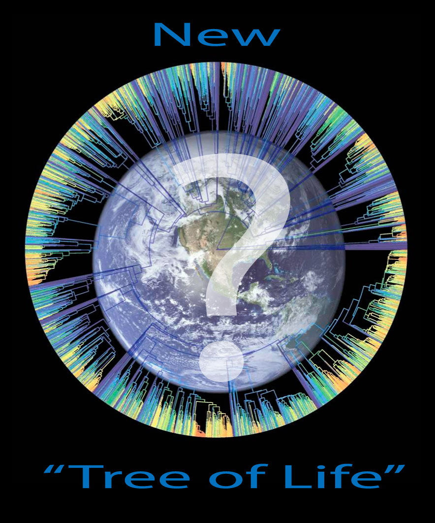 New Bird “Tree of Life”? • Darwin, Then and Now